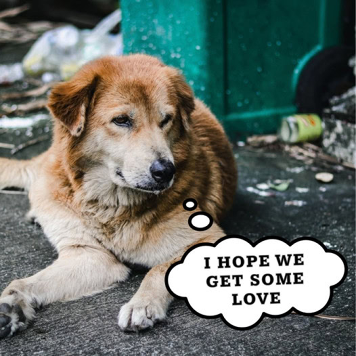 My birthday felt empty — I wished for love and laughter, but only ...