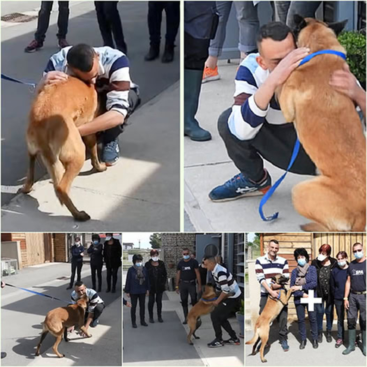 A loving dog owner journeys 310 miles to reunite with his stolen pet ...