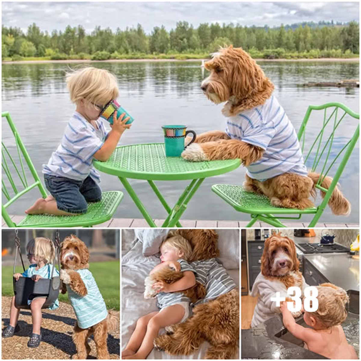 The inseparable friendship between a 4-year-old boy and his cherished ...